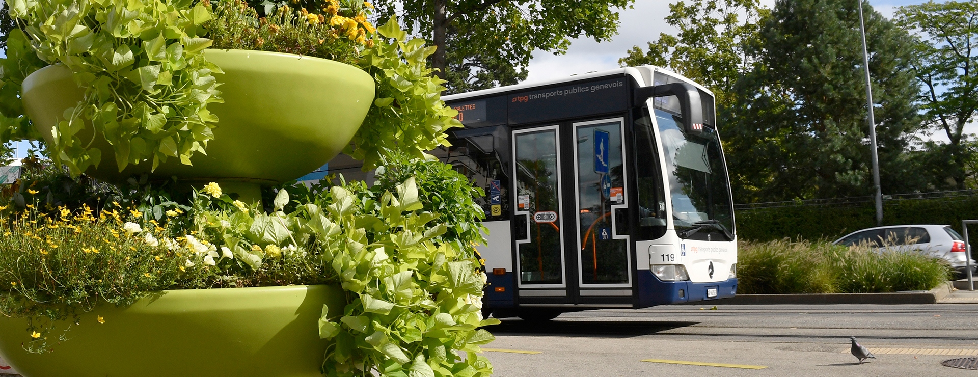 Environnement et espaces verts | Ville de Lancy